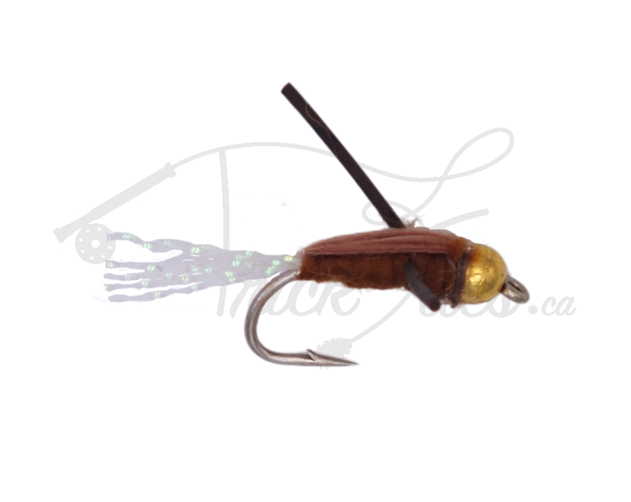 Beadhead Water Boatman Brown | Stony Tackle Shack